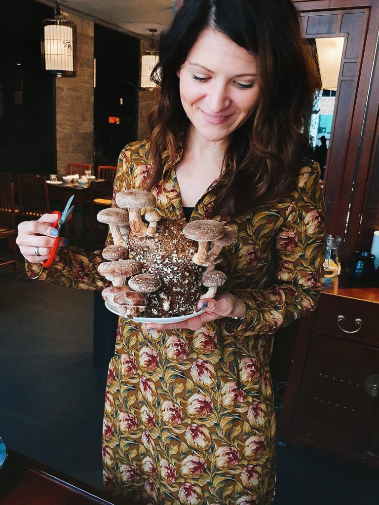 KAIP SKANIAI PARUOŠTI SHIITAKE GRYBUS? | STEBUKLINGA MĖTA