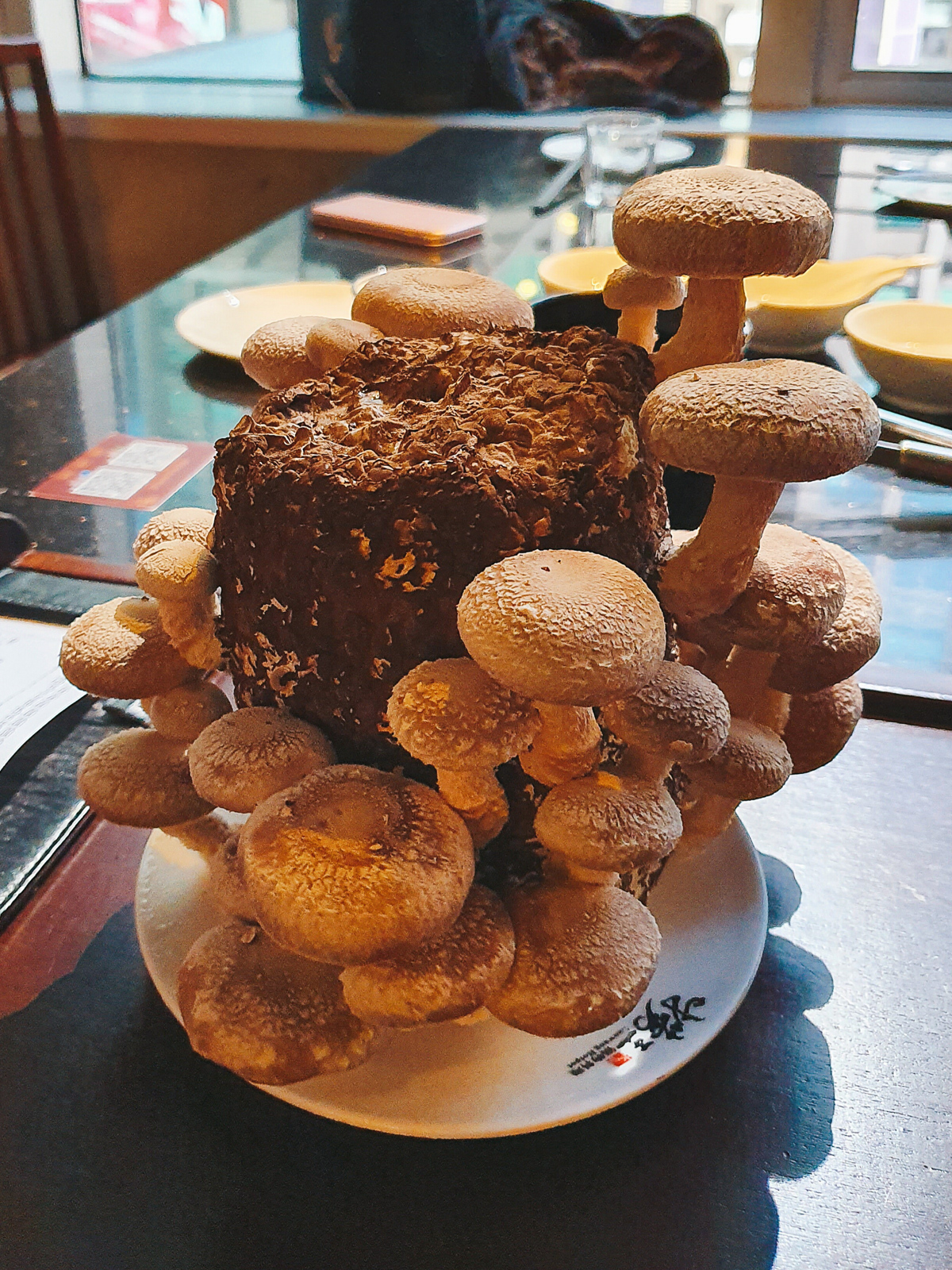 KAIP SKANIAI PARUOŠTI SHIITAKE GRYBUS? | STEBUKLINGA MĖTA