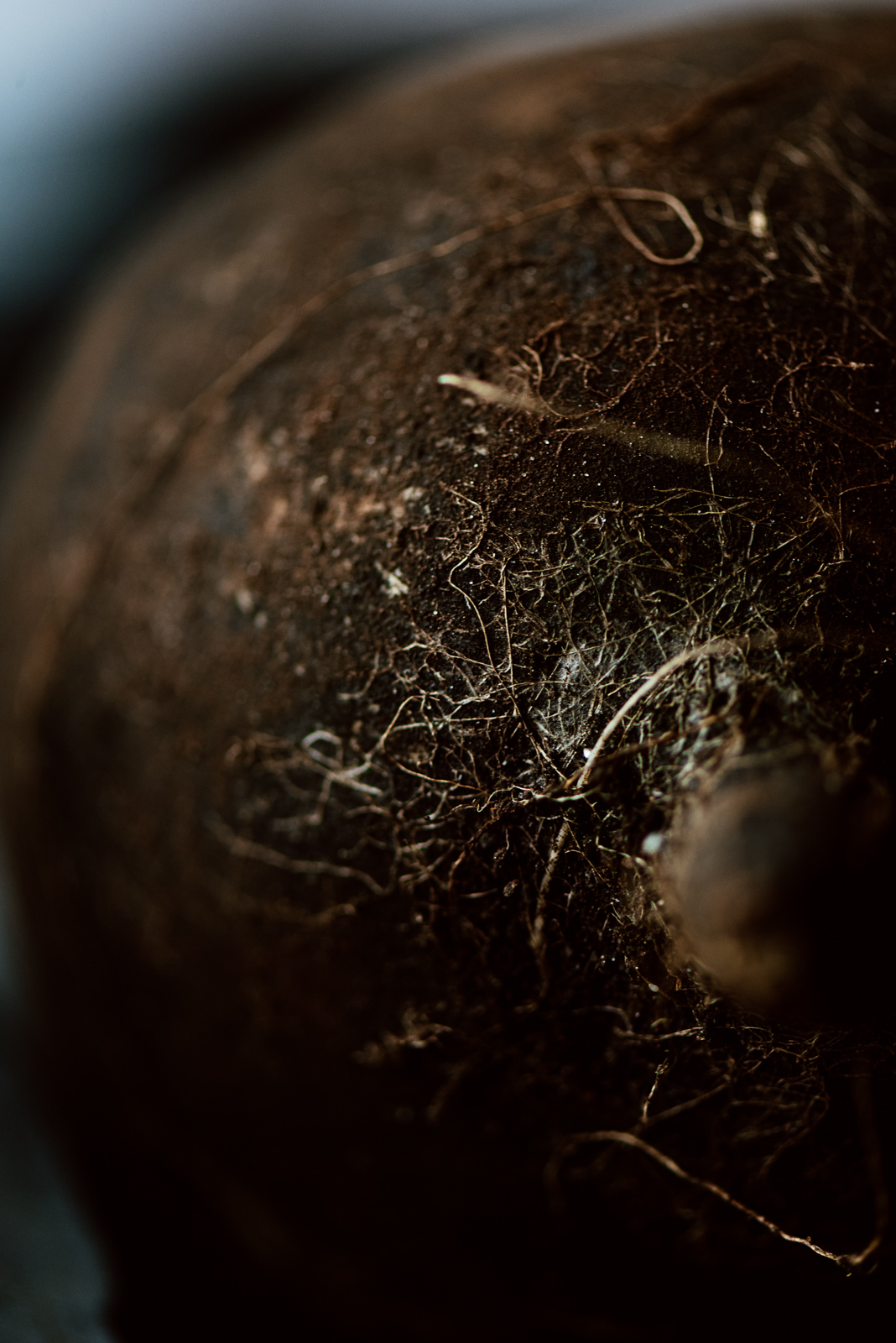 JUODOJO RIDIKO SALOTOS SU JOGURTU | STEBUKLINGA MĖTA