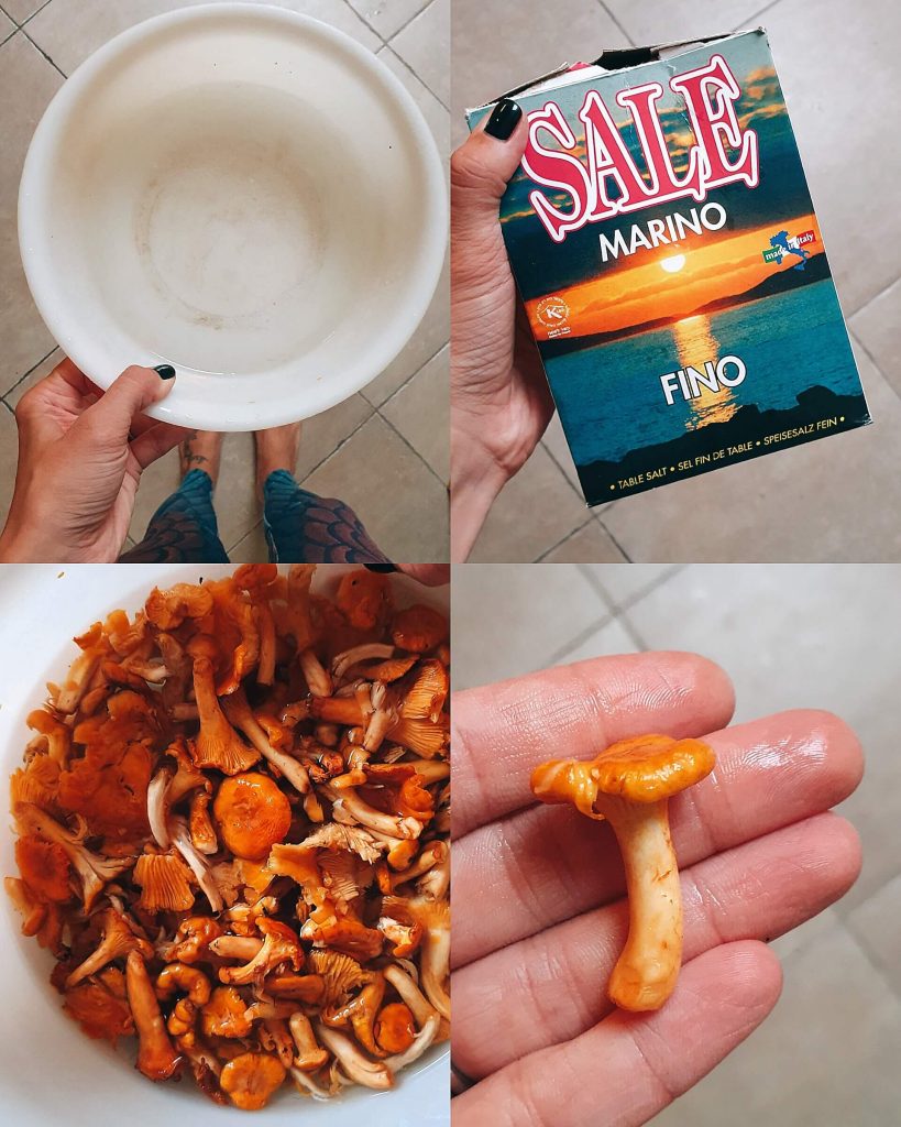 TOBULOS VOVERAITĖS KOKOSŲ PIENE | STEBUKLINGA MĖTA