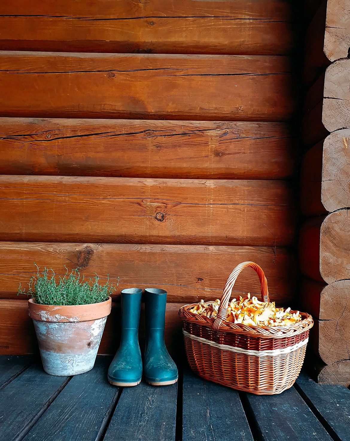 TOBULOS VOVERAITĖS KOKOSŲ PIENE | STEBUKLINGA MĖTA